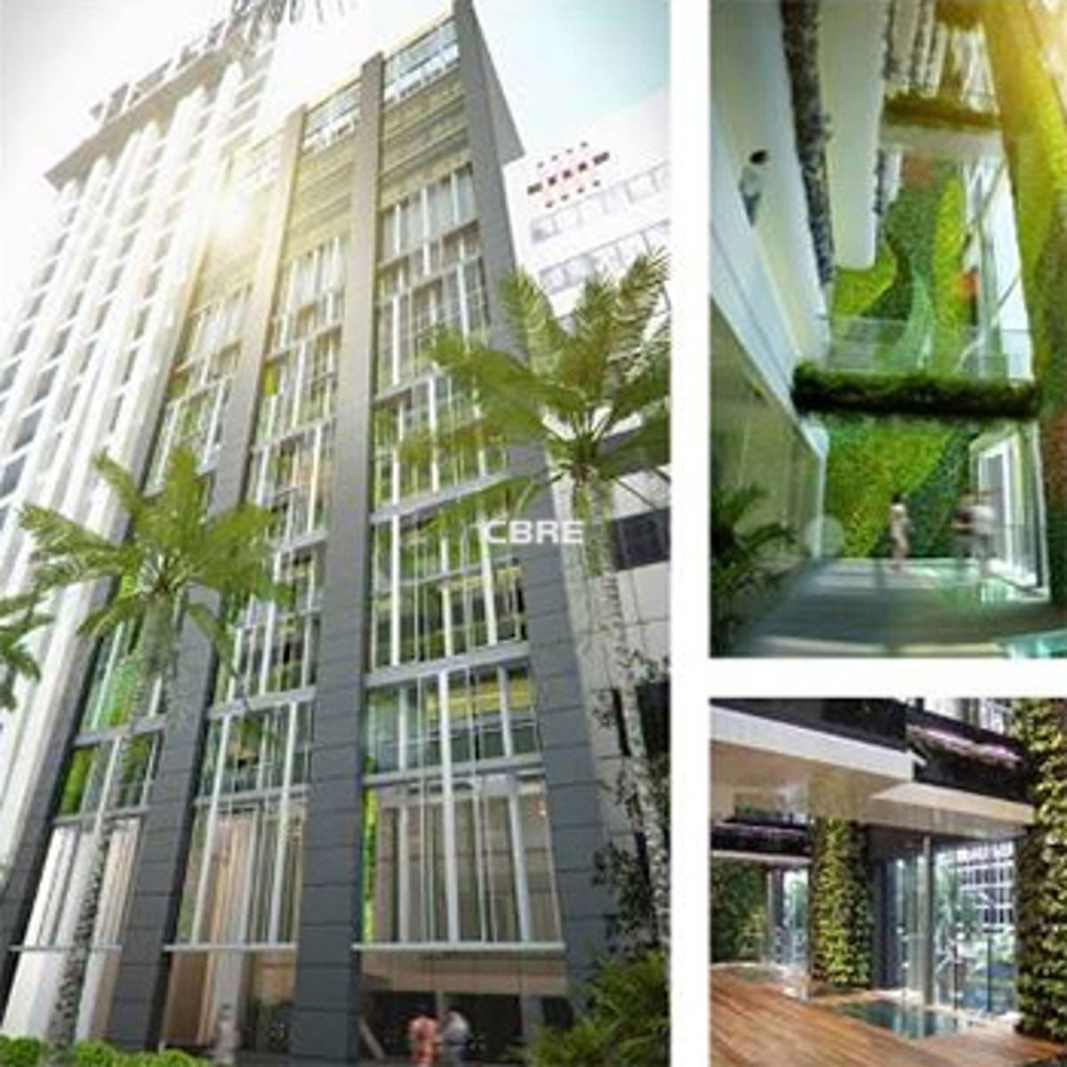 Office to Rent, 158 Cecil Street 158 Cecil Street 069545 - CBRE Commercial